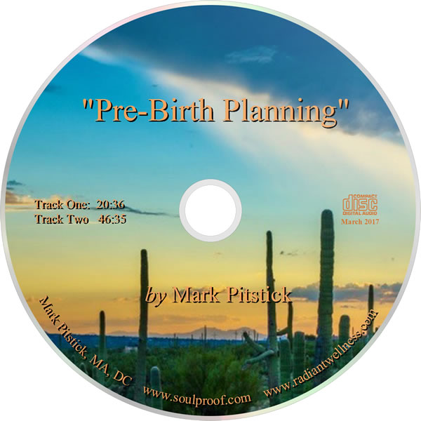 Pre-Birth Planning - Soul Proof